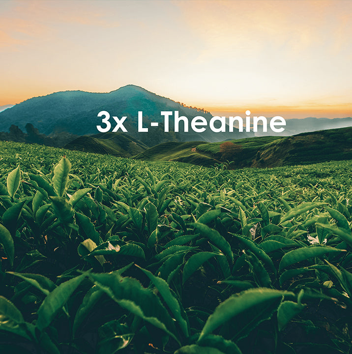 annual-sale-happening-now – greenteahawaii.com